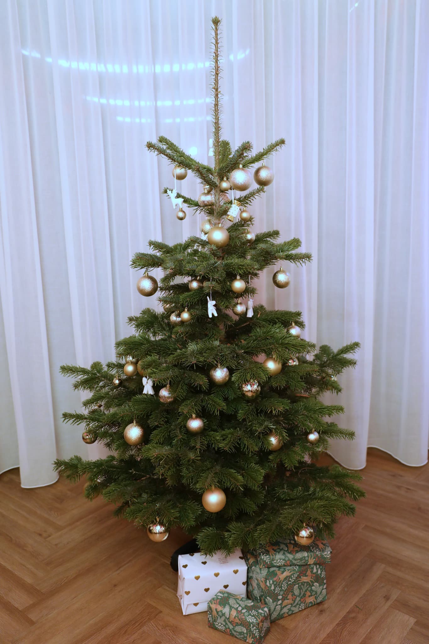 Der Vorstand bedankt sich bei den Trainer für ihren Einsatz im ...